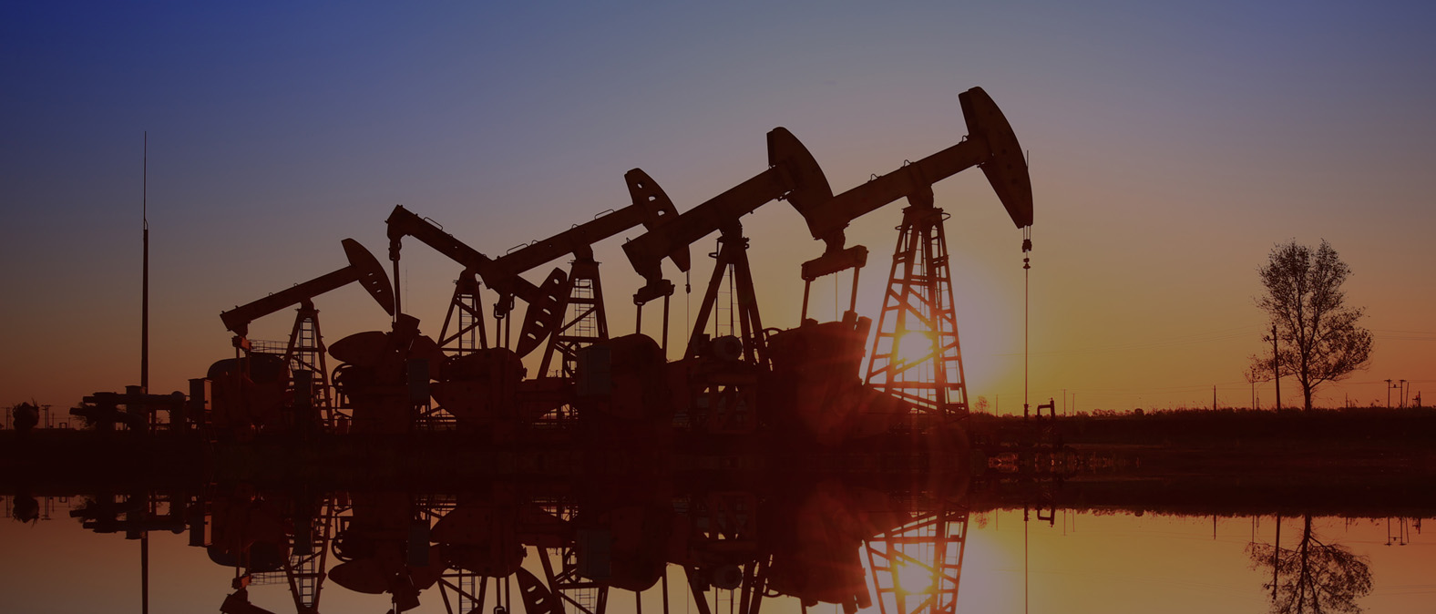 Oil Pro – knowledge, experience and passion